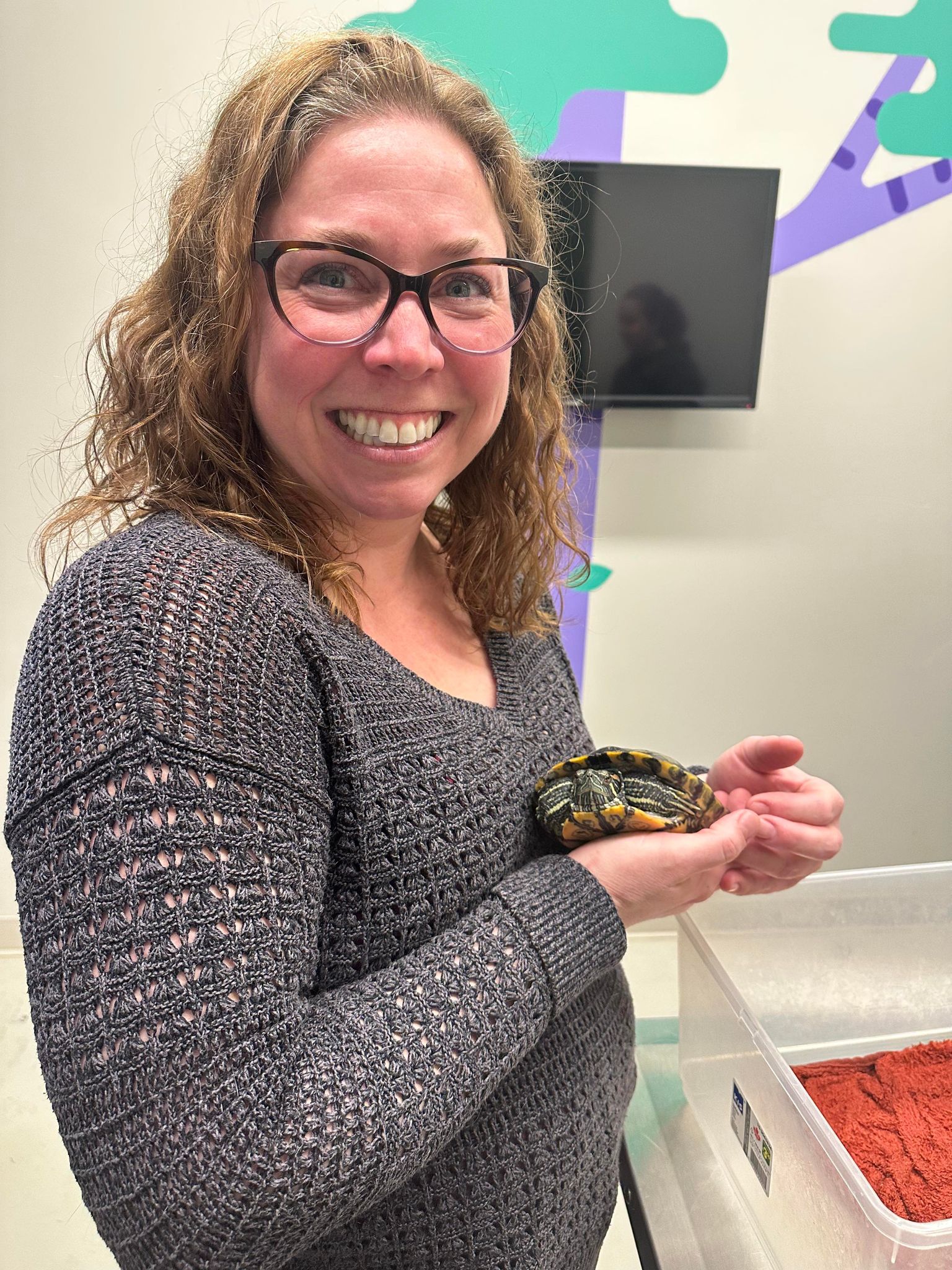 Nos services vétérinaires accessibles à tous | Wizoo